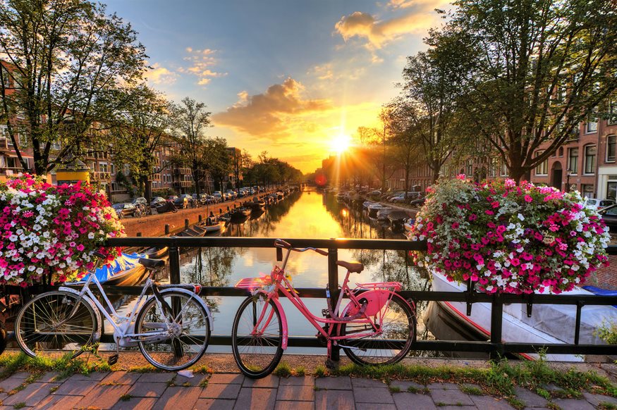 smart tours | home page
